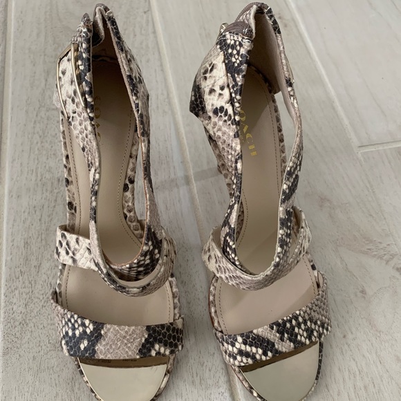 Coach | Shoes | Coach Python Snake Skin Heels Wback Zipper 65 | Poshmark
